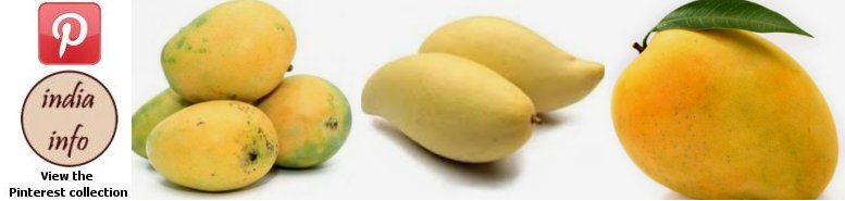Mango varieties in India- Snippets of information - India Info
